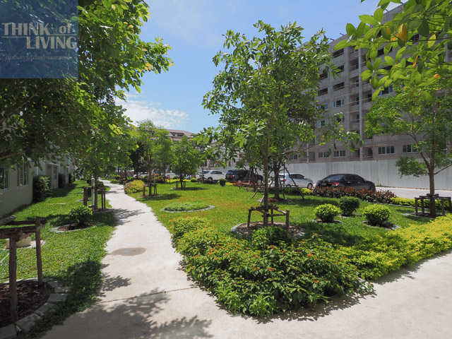 The Rise B ชลบุรี คอนโด 8 ชั้น หลังเซ็นทรัลชลบุรี ติดตลาด The Bazaar ...